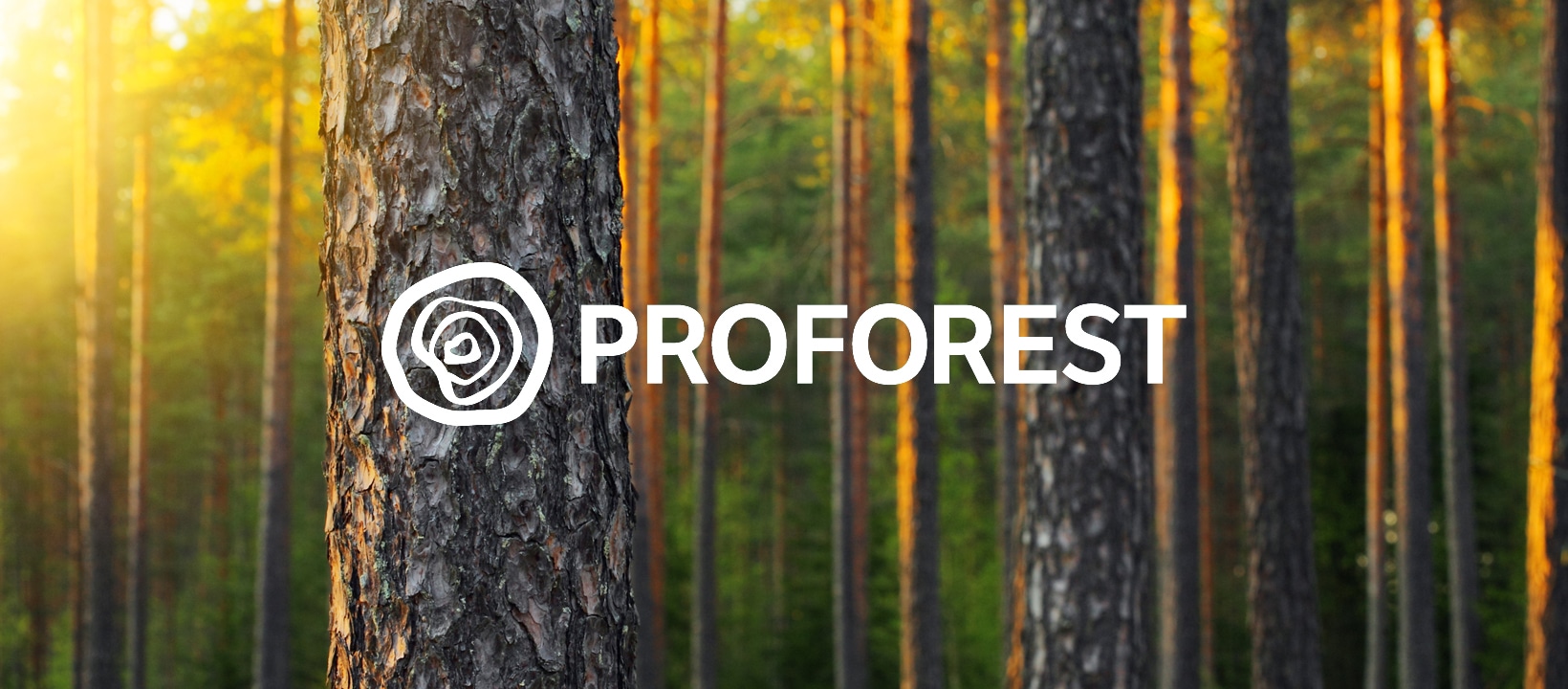 Proforest - Visit Kalajoki